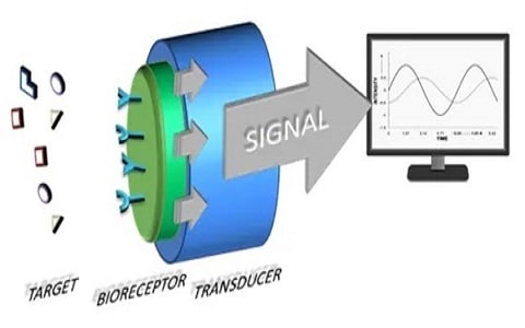 Biosensor : Types, Interfacing, Characteristics & Its Applications