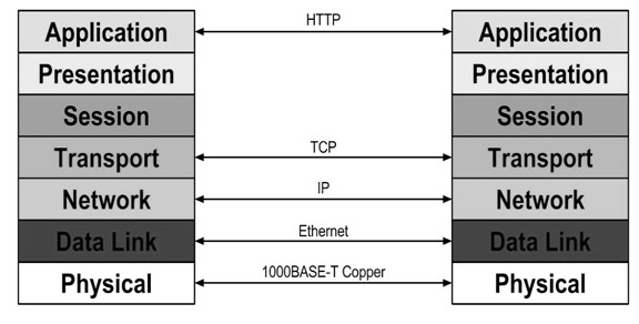 Network Protocol : Working, Example, Types & Its Standards